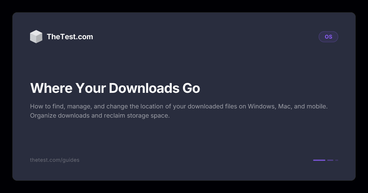 Where Your Downloads Go - TheTest
